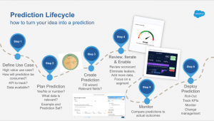 Einstein Prediction Builder: How to Turn Your Idea Into a Prediction ...