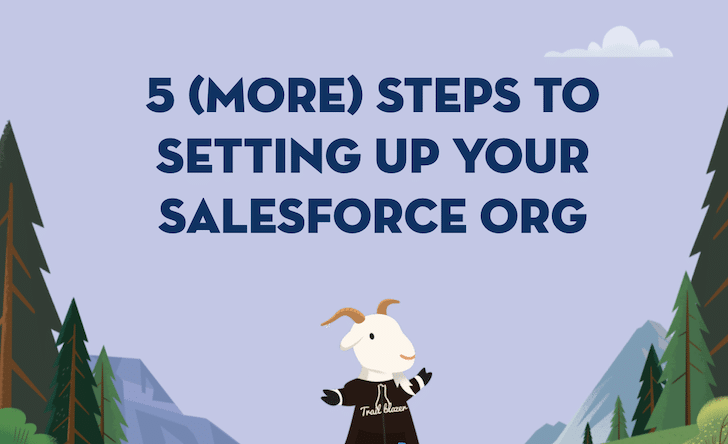 5 More Steps To Setting Up Your Salesforce Org Salesforce Admins