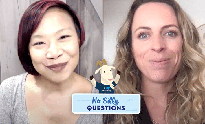 No Silly Questions: Why Is There No "i" in the Salesforce Admins ...