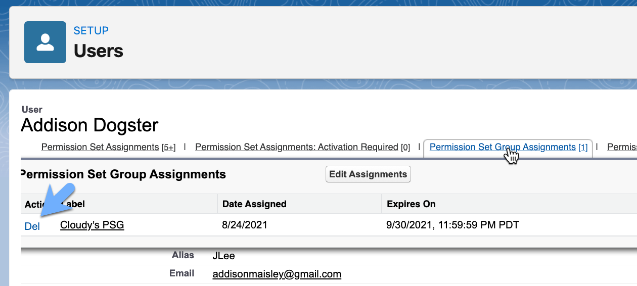 Automate the Assignment and Removal of Permission Set Groups - Salesforce Admins