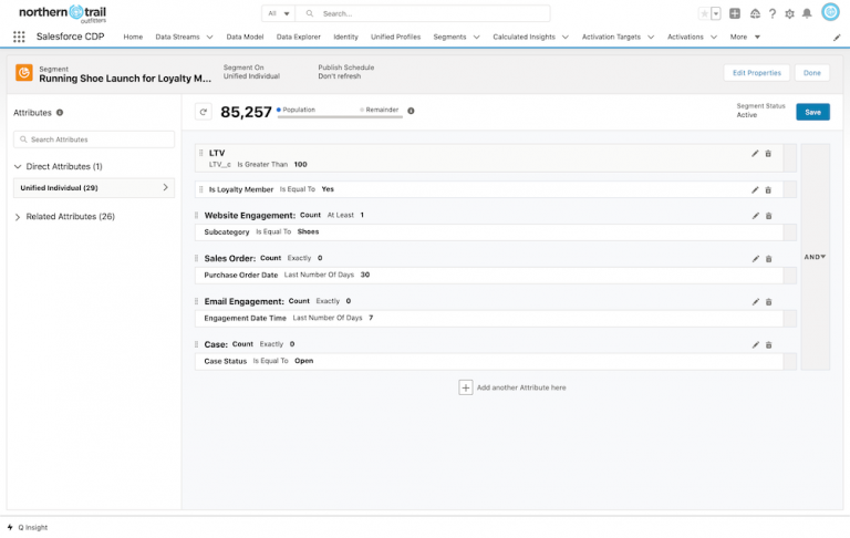 Segment Your Audiences with Salesforce CDP - Salesforce Admins