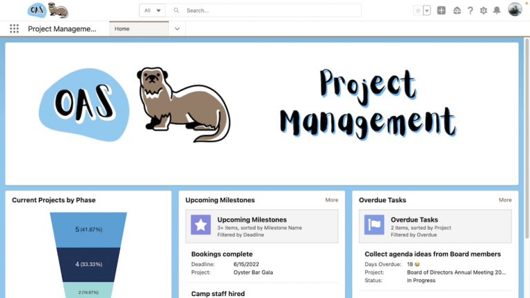 How I Solved It: Project Management with Sarah Pilzer - Salesforce Admins